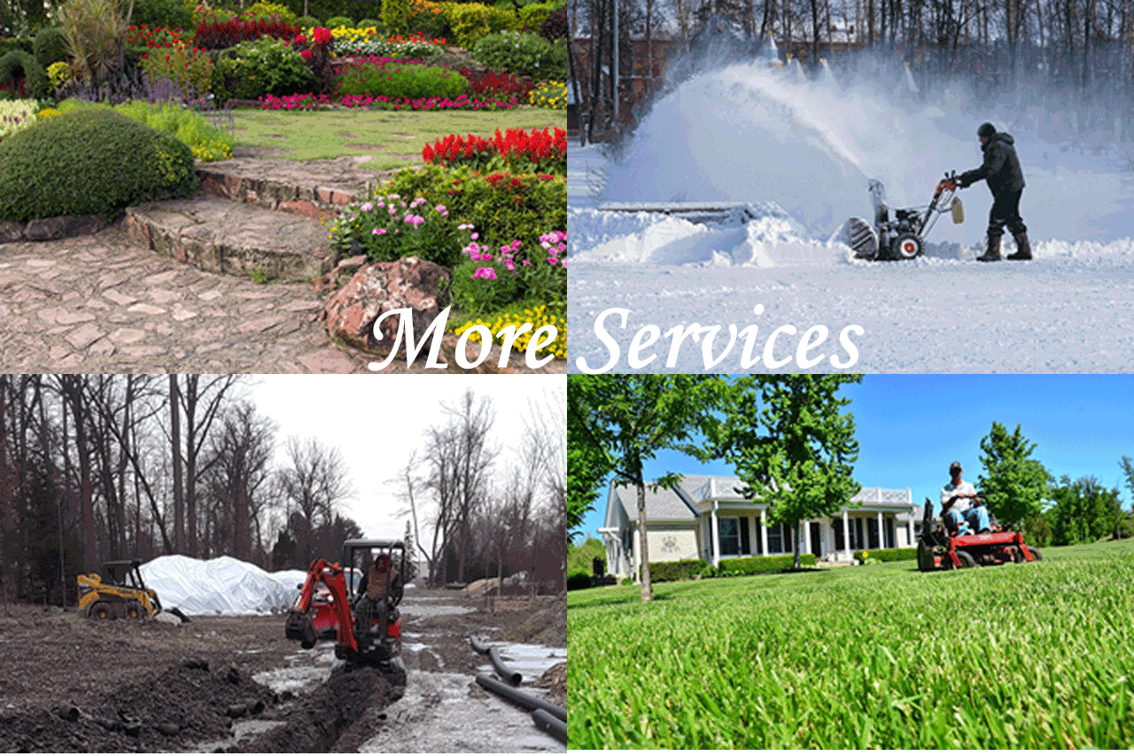 More Services - Lawn Care Service Near Me